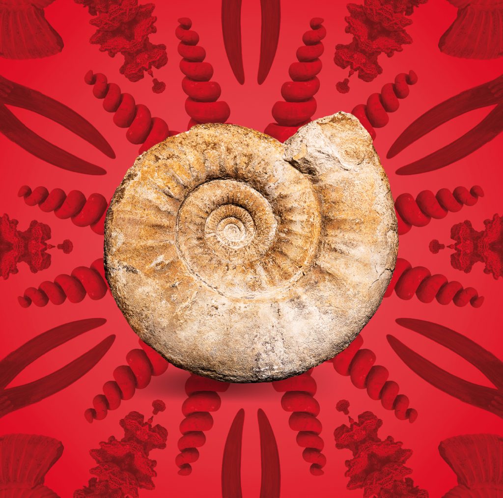 VisitMNU - Museo della Natura e dell'Uomo - Università di Padova