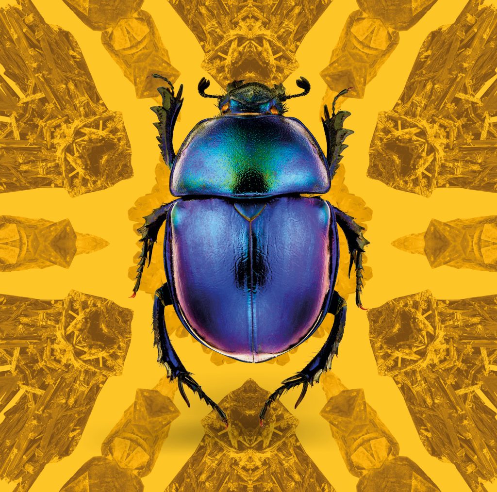 VisitMNU - Museo della Natura e dell'Uomo - Università di Padova