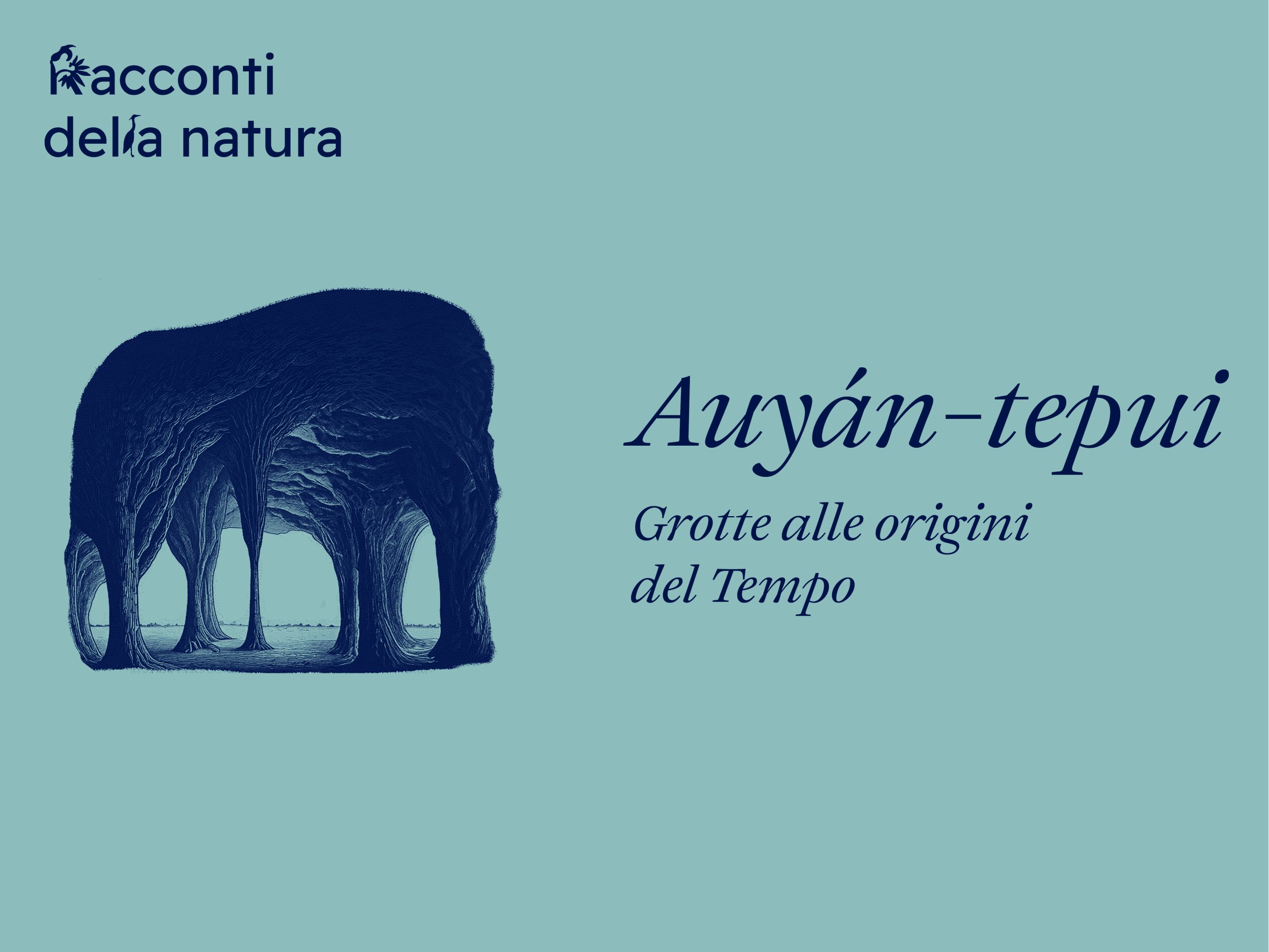 Auyán-tepui, grotte alle origini del Tempo - Museo della Natura e dell ...